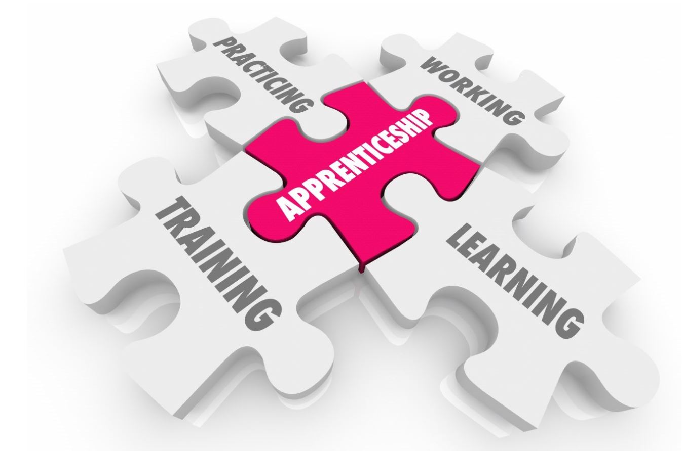 T Levels Apprenticeship Programme - Desco